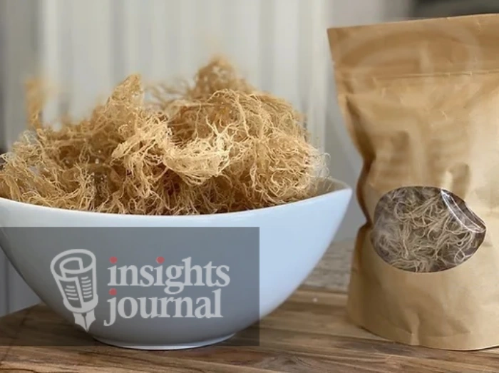 Sea Moss for Beginners: How to Incorporate It into Your Daily Routine ...
