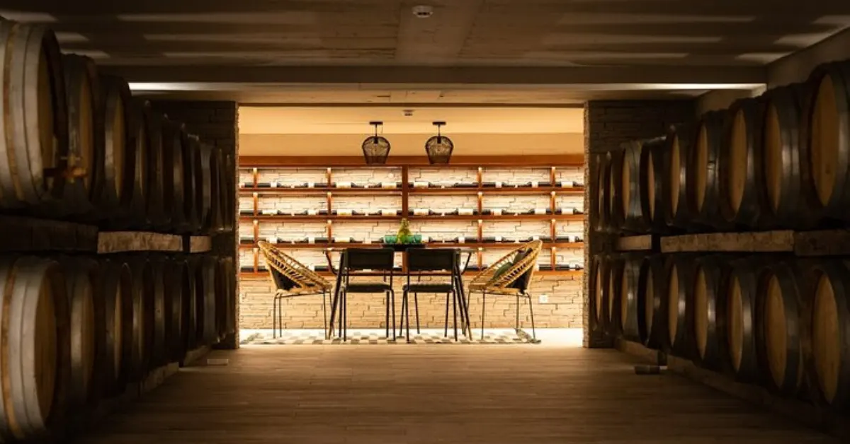 Exploring the EU’s Best Wine Regions: A Journey Through Europe’s ...